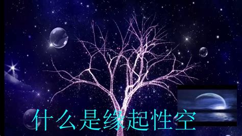 什么是缘起性空 Youtube