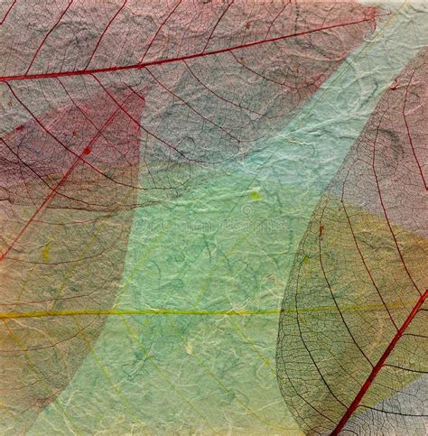 Colored Leaves Background Stock Image Image Of Background 29295933