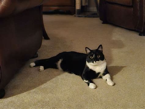 Official Willie Woo Blog On Tumblr