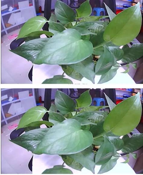 Taidacent RS485 RS232 USB TTL Serial Elevator IP Camera Module VC0706 CMOS Camera Board TTL JPEG