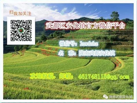 安化鎮人民政府關於公開選聘公益性崗位工作人員筆試和面試的通知 每日頭條