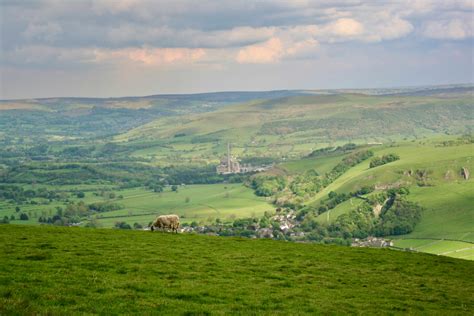 Lush Green Landscape Photos Download The Best Free Lush Green