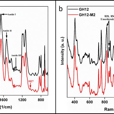Vibration Spectroscopy A The Molecular Structure Of The Synthesized Download Scientific