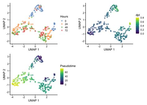 Trajectory Analysis With Diffusion Pseudotime Danh Truong Phd