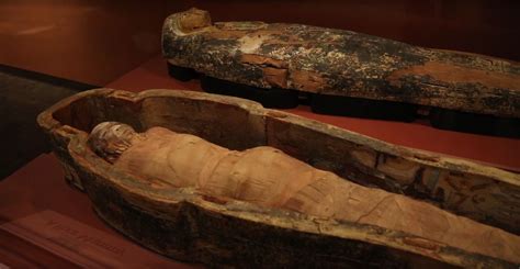 What Does A Mummy Tomb Look Like At Donte Johnson Blog