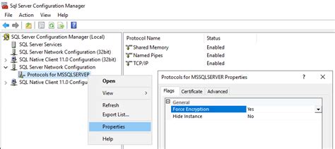 Forcing Encryption In Sql Server Dbasco