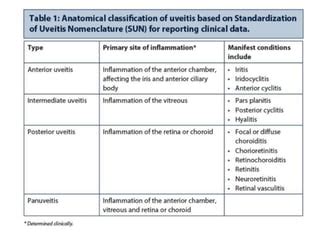 Anatomy And Applied Aspects Of Uvea Pptx