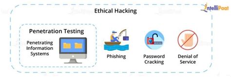 Ethical Hacking Tutorial A Step By Step Guide 2025