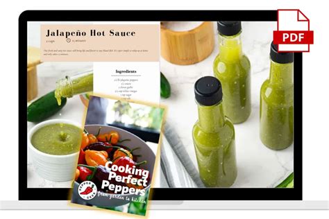 Spicy Cookbook Pepper Geek