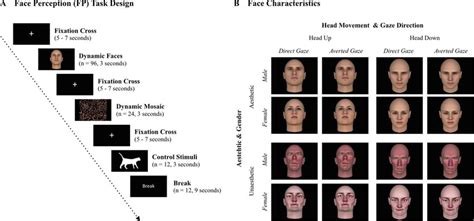 Experimental Design Of The Face Perception Task A An Illustration Of Download Scientific