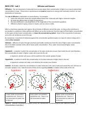 Lab Diffusion Osmosis Fall Docx BIOS Lab Diffusion And Osmosis Diffusion