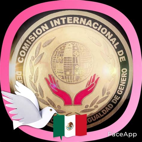 Comisión Internacional De Derechos Humanos Por La Igualdad De Género