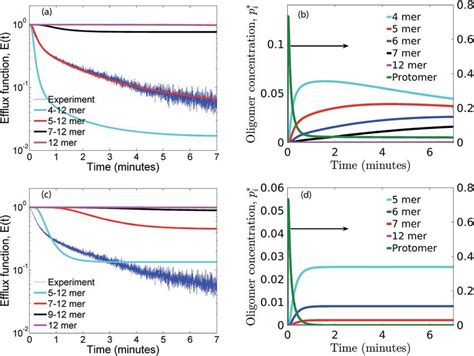Model Predictions For A Reversible Sequential Rs And C Download Scientific Diagram