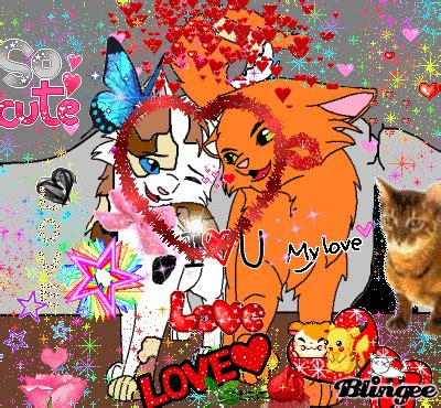Fireheart And Sandstorm Love