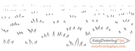 How To Draw Grass In 3 Different Ways Tutorial Easydrawingtips