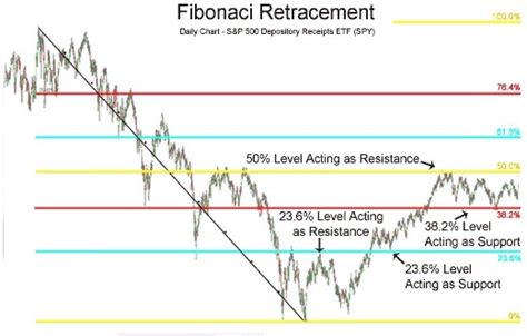 Patterns In Nature And Finance The Fibonacci Sequence And The Golden Ratio Exitus Capital
