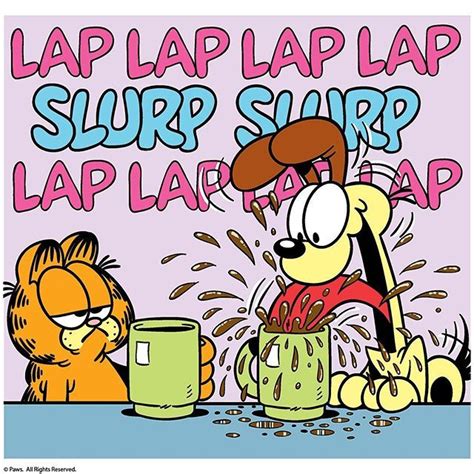 Garfield On Instagram Dogs Should Stick To Drinking Out Of Toilets