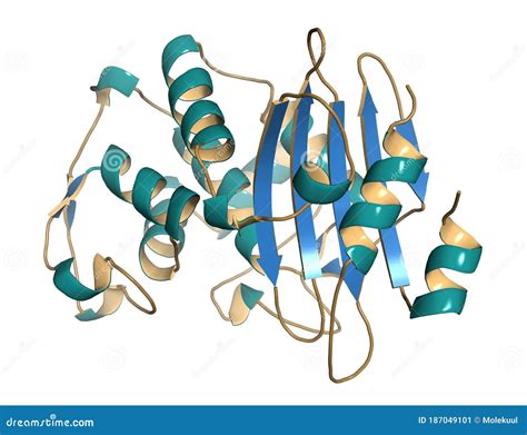 Beta Lactamase Enzyme From Staphylococcus Aureus Responsible For Resistance Against Penicillin