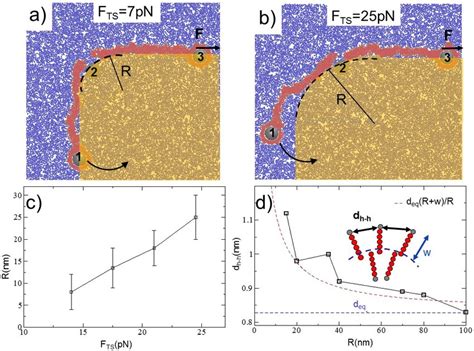 The Three Cylinder Simulation Geometry Used To Calculate The Effect Of Download Scientific