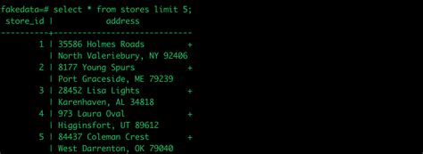 Generating A Fake Database With Python By Jonathan Duran Python In Plain English