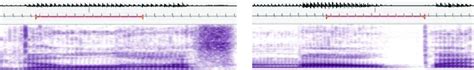Color Online Spectrogram And Wave Form For The Annotation Of L From