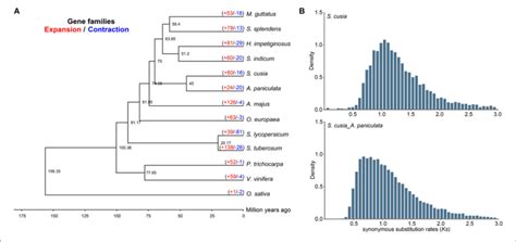 Comparative Genomic And Phylogenetic Relationship Analyses A Download Scientific Diagram