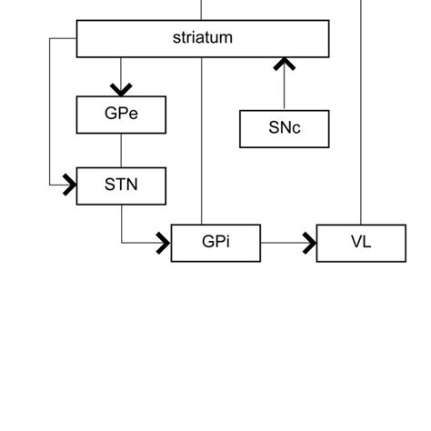 Directindirect Closed Loop Model Of The Basal Ganglia Download