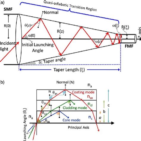 Schematic Of SFS Structure Download Scientific Diagram