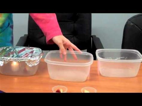 Lorene Dunston How Do You Measure Volume Science