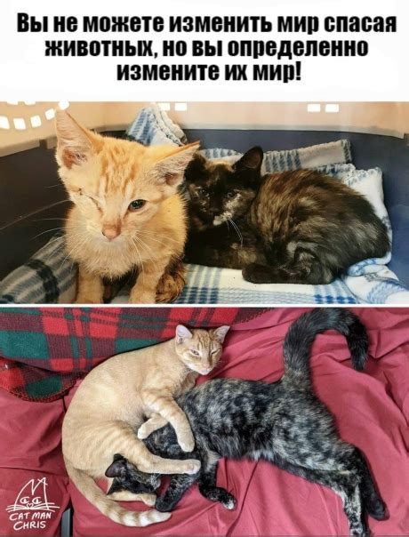 Елена Копылова ВКонтакте