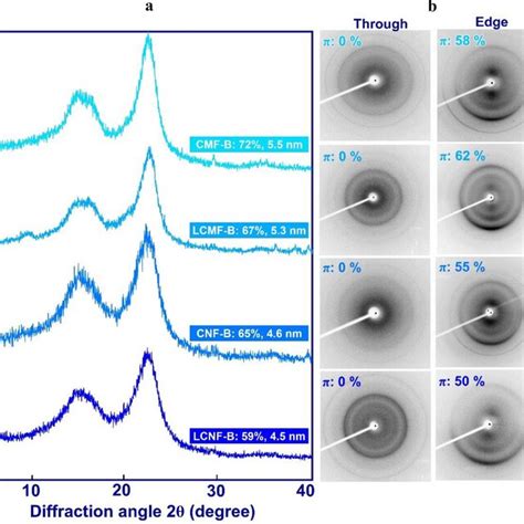 Photos Of Specimens A LCNF B B CNF B C LCMF B And D CMF B Download Scientific Diagram