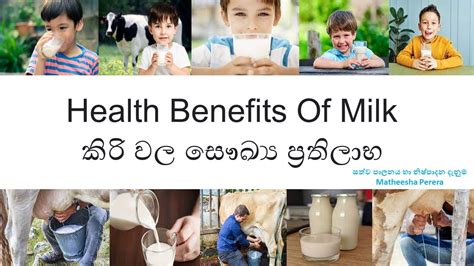 කිරි පානය කිරීමෙන් ලැබෙන සත්ව පාලනය හා නිෂ්පාදන දැනුම