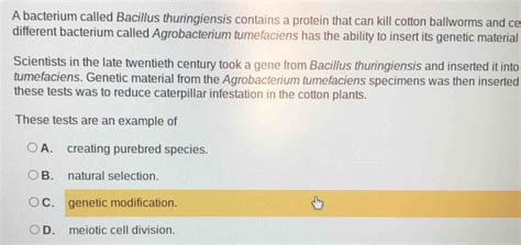 Solved A Bacterium Called Bacillus Thuringiensis Contains A Protein