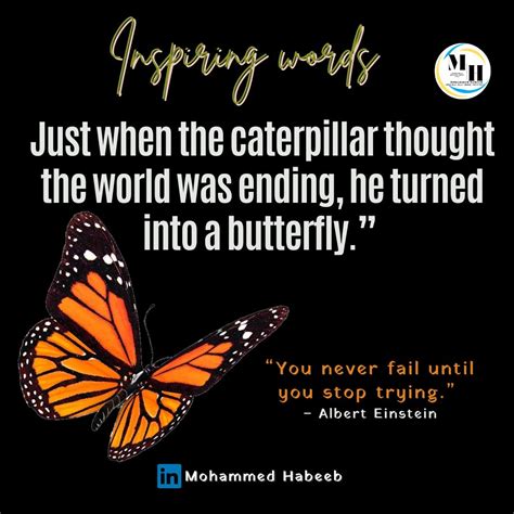 Dr Mohammed Habeeb Phdhon On Linkedin Work Share Happiness