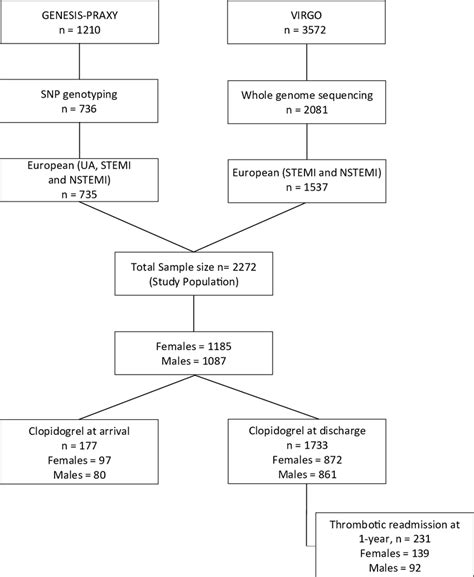 Study Flow Flowchart Of Study Participants In The Cohort Download Scientific Diagram Study Flow Flowchart Of Study Participants In The Cohort Download Scientific Diagram