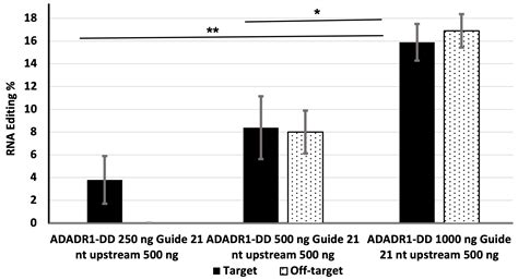Examination Of Factors Affecting Site Directed Rna Editing By The Ms2 Adar1 Deaminase System