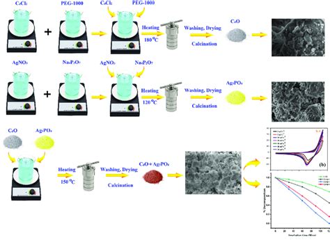 Schematic Diagram For The Cdoag 3 Po 4 Nanocomposite Download Scientific Diagram