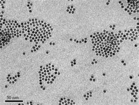 The TEM Images Of A Fe O B Fe O SiO And C Fe O SiO P D Download Scientific