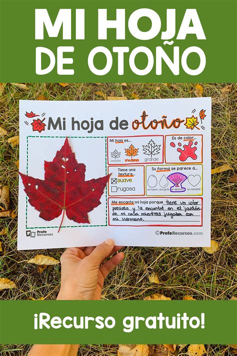 77 Ideas De Decoración De Aula Octubre Para Guardar Hoy Decoracion De