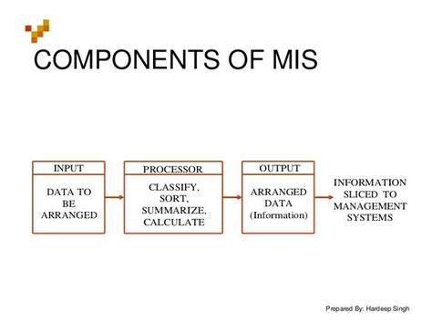 Management Information System