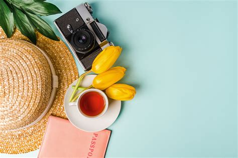 파란색 배경에 차와 노란색 튤립의 찻잔 꽃과 봄 구성 텍스트 장소 0명에 대한 스톡 사진 및 기타 이미지 0명 꽃 식물 꽃병 Istock