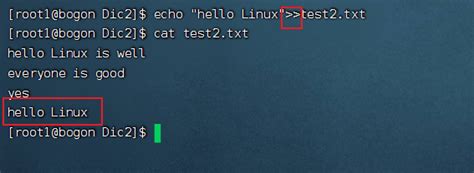 linux从基础到入门 linux操作系统入门 csdn博客