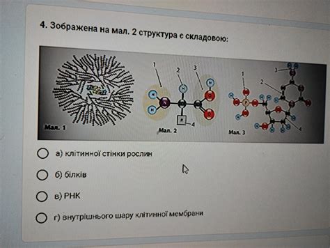 Зображення на Мал 2 структура є складовою Школьные Знания Com