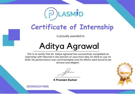 aditya agrawal on linkedin internship java professionalgrowth