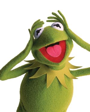 Qanda With Kermit The Frog The Mom Maven