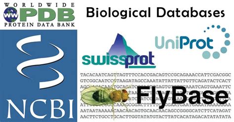 Biological Databases Types And Importance