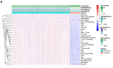 实战 种免疫细胞基因集GSVA分析 知乎