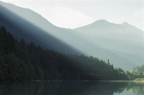 Free Images Nature Forest Wilderness Cloud Fog Mist Morning