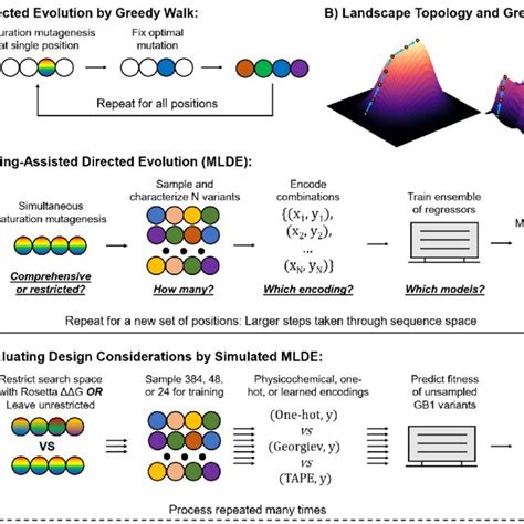Pdf Machine Learning Assisted Directed Evolution Navigates A