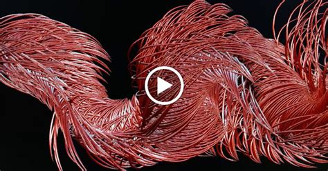 Animation Nodes Released Scripts And Themes Blender Artists Community